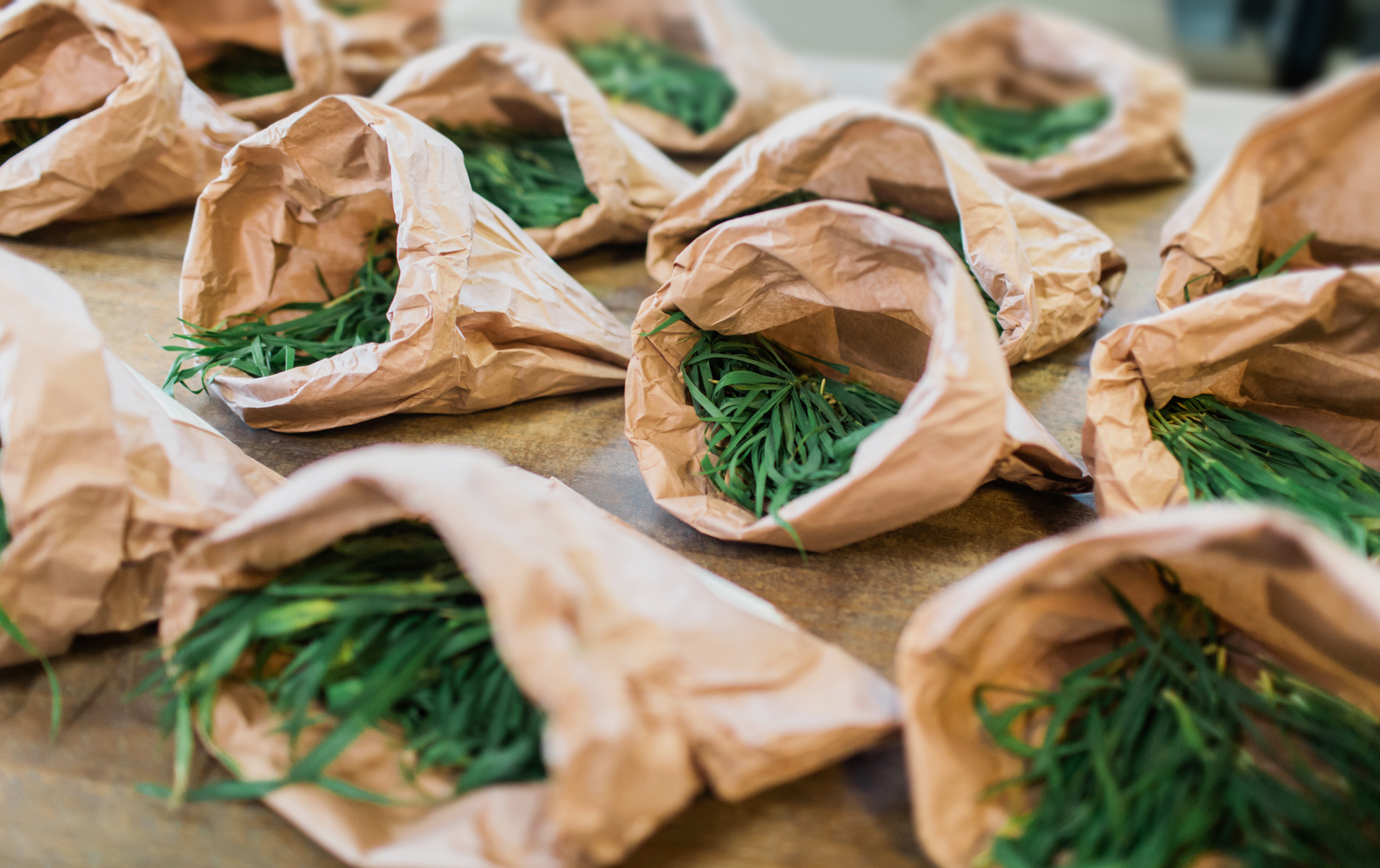 Index of /media/2020/03